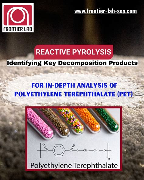 How Reactive Pyrolysis Transforms Pet Analysis 𝗙𝗿𝗼𝗻𝘁𝗶𝗲𝗿 𝗟𝗮𝗯𝗼𝗿𝗮𝘁𝗼𝗿𝗶𝗲𝘀