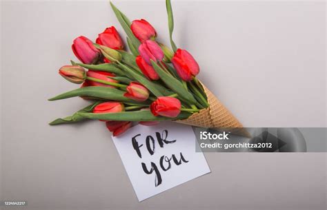 카드와 아이스크림 와플 콘에 빨간 아름다운 튤립 콘크리트 배경에 당신을 안녕하세요 꽃 선물의 개념 적 아이디어 봄 분위기 개념에 대한 스톡 사진 및 기타 이미지 Istock