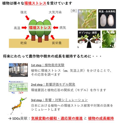 植物の環境ストレス応答と対策 山梨大学