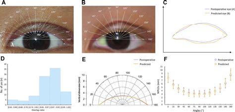 Demonstration Of The Objective Assessment Of The Predicted Performance