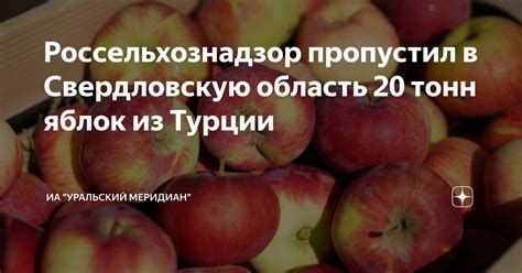 Россельхознадзор пропустил в Свердловскую область 20 тонн яблок из Турции ИА Уральский