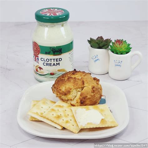 클로티드크림 코스트코 꿀템 진짜 중독된 것 같아요 네이버 블로그