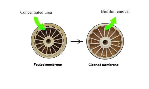 Preventing Ro Membrane Fouling And Extending Its Lifespan Ro Service Center