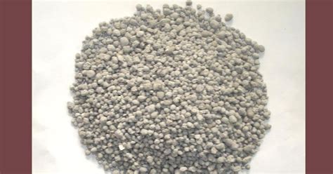 Cargo Offers For Vessels 10 000 Mts 10 Pct Moloo Bulk Fertilizers Non Imo