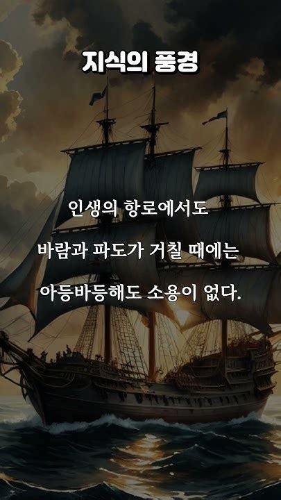 아침이 오지 않는 밤은 없다 명언 지혜 오디오북 철학 인생철학 인생론 좋은글귀 명언쇼츠 인생의태도 발타자르그라시안명언 하루철학 Youtube