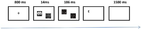 Flow Chart Of The Sub Threshold Point Stimulus Task X W Image Pair