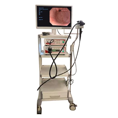 Electronic Colonoscopy With Camera System Gastroscope And Endoscope