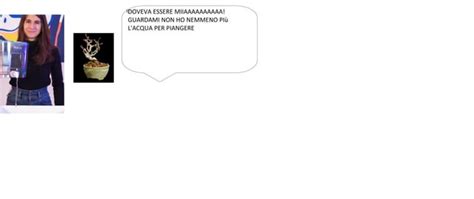 Bonsai Ci Manchi Rrichardhttsubmissions