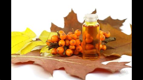 Облепиховое масло против простатита Youtube