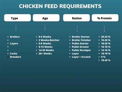 31 Ways How To Get Chickens To Stop Pecking At Each Other Farm
