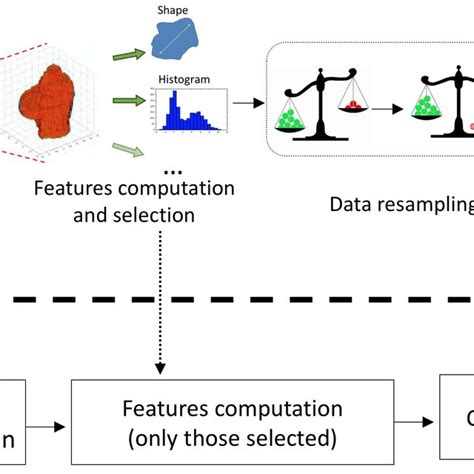 Schematic Representation Of The Machine Learning Approach Adopted
