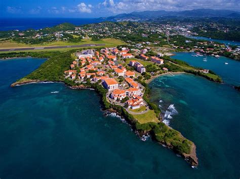 Pasquale Burdo Posted On Linkedin