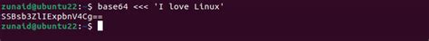 How To Encode Or Decode A Base64 String On Linux