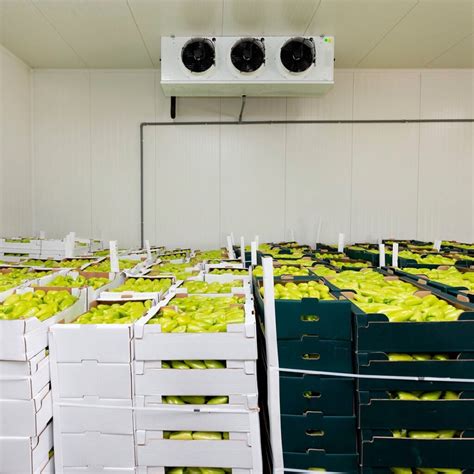 Câmara Fria Para Frutas Legumes E Vegetais Friosol