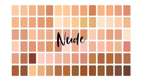 Paleta de cores nude Conheça Todos os Tons Blog Oscar