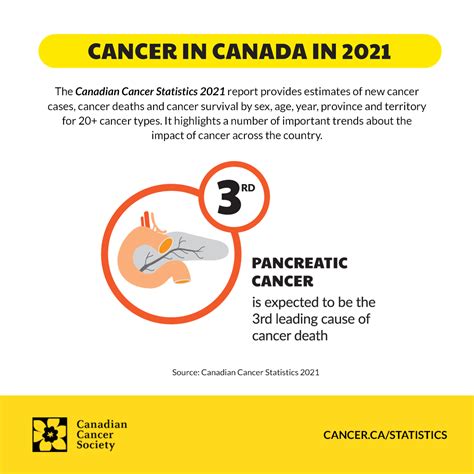 Canadian Cancer Statistics Infographics Canadian Cancer Society