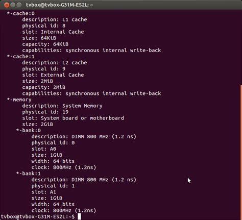 How To Check The Speed Of Ram When Dmidecode Command Is Not Working