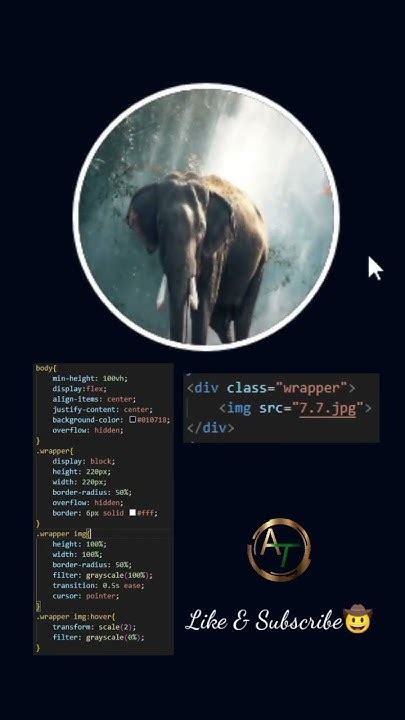 Html Tutorial Hindi Hover Effects Html Css At Codes Shorts Youtubeshorts Viral