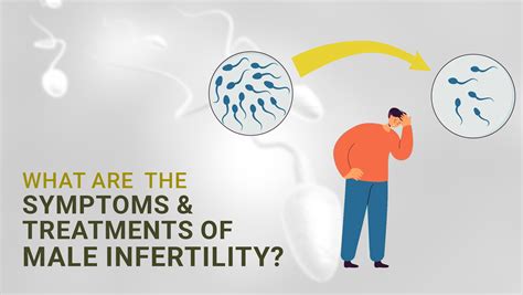 Male Infertility Symptoms Causes And Diagnosis Ayu Fertility