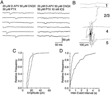 Spontaneous Serotonergic Epsc S A Spontaneous Synaptic Activity