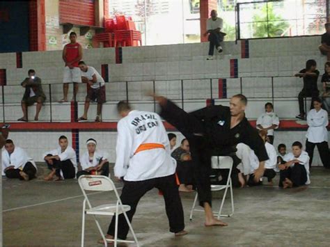 InformaÇÃo X Sistema De Combate Uru Can Do Brasil Apostila BÁsica