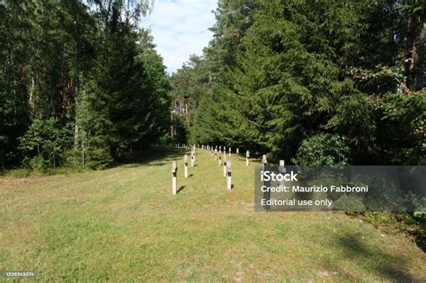 실행 캠프 트레블링카 기념 사이트 여름 흐린 날 0명에 대한 스톡 사진 및 기타 이미지 0명 Allied Forces Holocaust Istock
