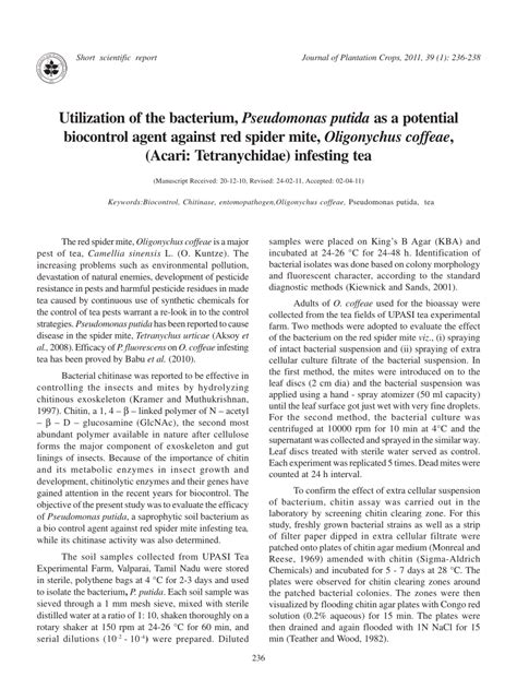 Pdf Utilization Of The Bacterium Pseudomonas Putida As A Potential