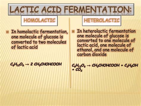 Aerobic And Anaerobic Fermentation Pptx