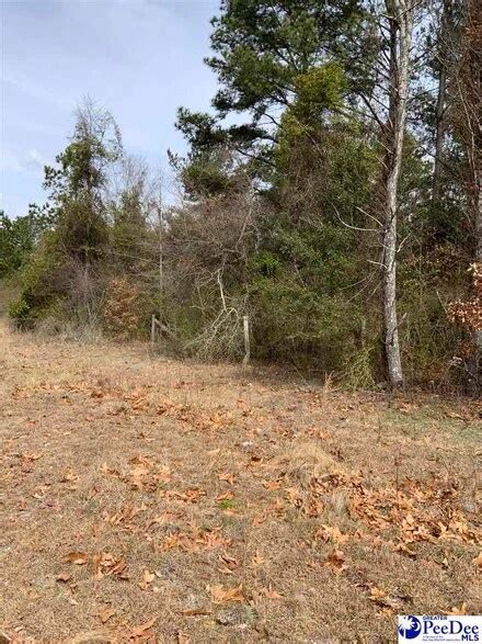 Patrick Sc Real Estate And Homes For Sale