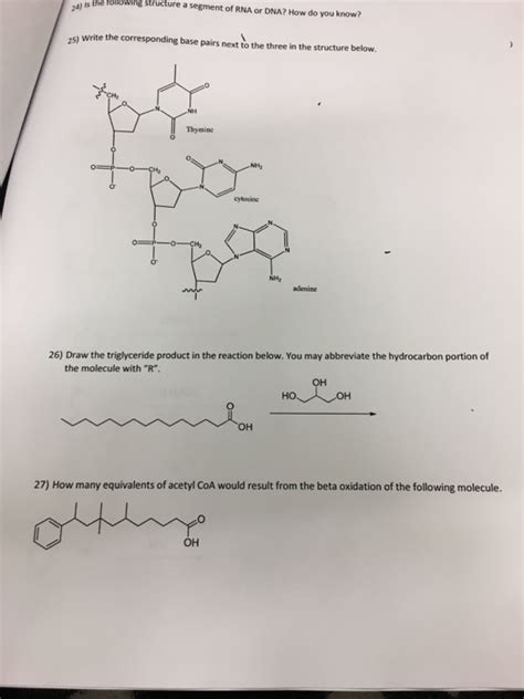 Solved The Following Structure A Segment Of RNA Or DNA How Chegg Com