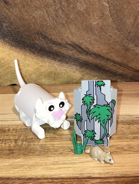 Stealthy Kitty And A Poor Mouse Who Isnt As Stealthy As He Thinks He