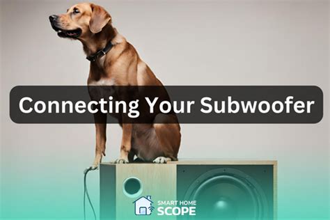 Easy Subwoofer Setup Guide How To Set Up Subwoofer In 2024 Smart Home Scope