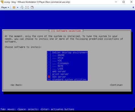 How To Install Tcpdump Indebian Pixelvil