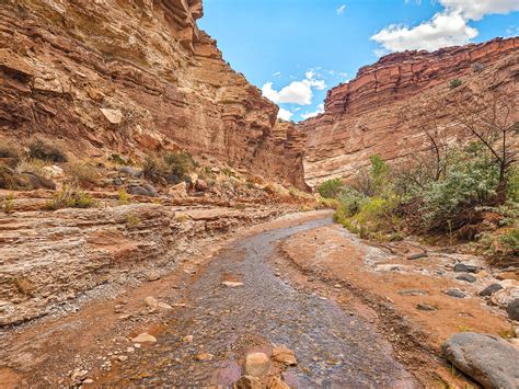 Best Things To Do In Capitol Reef National Park Hikes Views And More