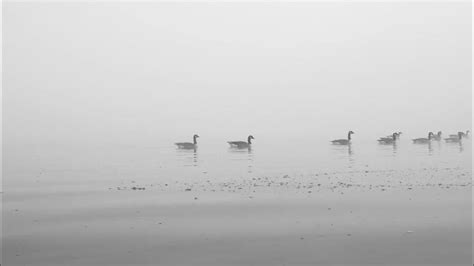 미운 오리새끼 신운숙 Youtube