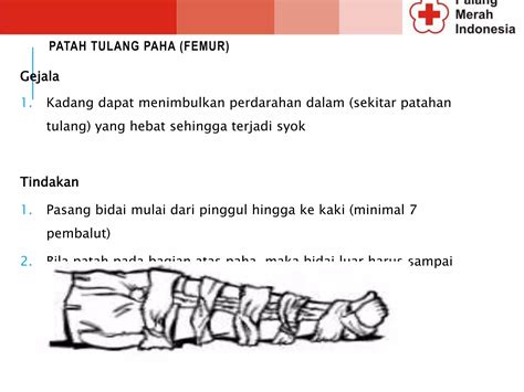 Materi Balut Bidai Ppt