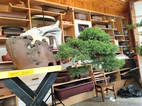 Penjing