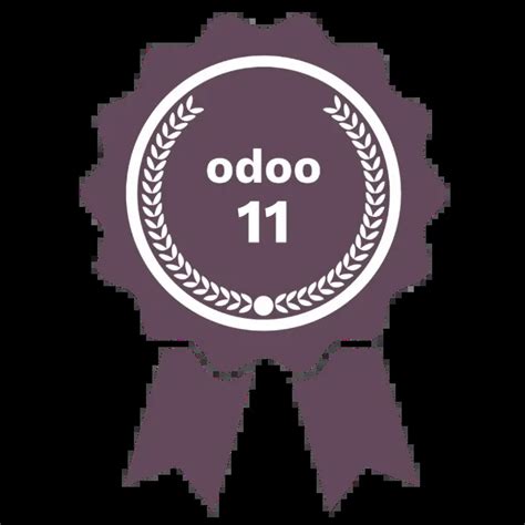 Top Odoo Erp Services And Apps For Smes In Egypt Softhealer