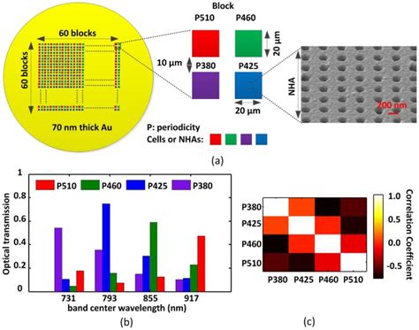 Bolus Tracking With Nanofilter Based Multispectral Videography For