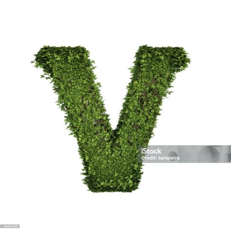 아이비 식물 잎 녹색 크리퍼 부시와 덩굴 형성 문자 V 자연 성장 및 환경 환경 개념에 흰색에 고립 된 영어 알파벳 텍스트 글꼴 문자 3d 트리 그림입니다 나무에 대한 스톡