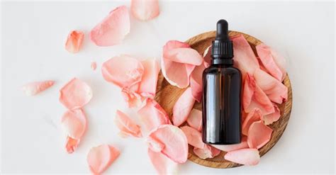 The Benefits Of Massage Therapy For Everyday Health Acma Association Blog