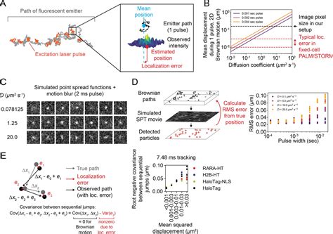 Figures And Data In Recovering Mixtures Of Fast Diffusing States From Short Single Particle