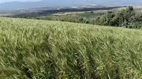 Alex Mulinge Mba On Linkedin Just