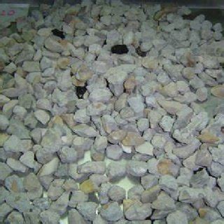 Aggregates From CDD Download Scientific Diagram