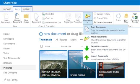 Copymove For Sharepoint 2016