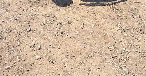 2018 Polaris Razor Xp4 Turbo Side By Side Share