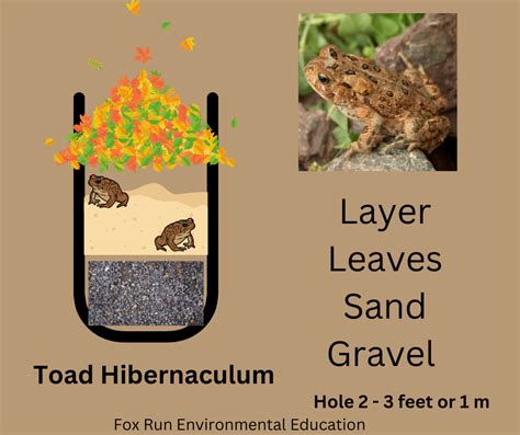 Build A Hibernaculum For Snakes Frogs And Insects — Fox Run