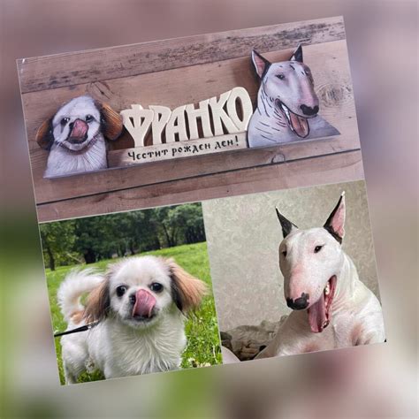 Подарък за мъж за рожден ден My Name Bg