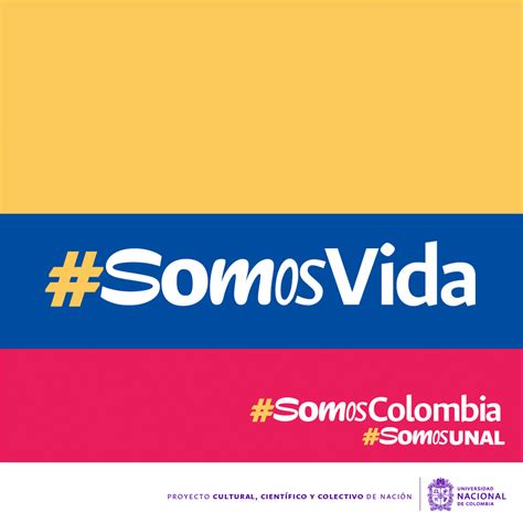 Daniela Paola Fula Melo Posted On Linkedin