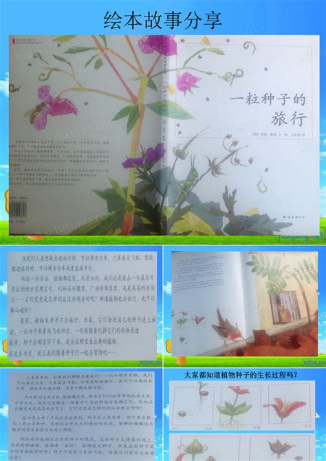 一粒种子的旅行2PPT模板下载 编号qyjeeeea 熊猫办公